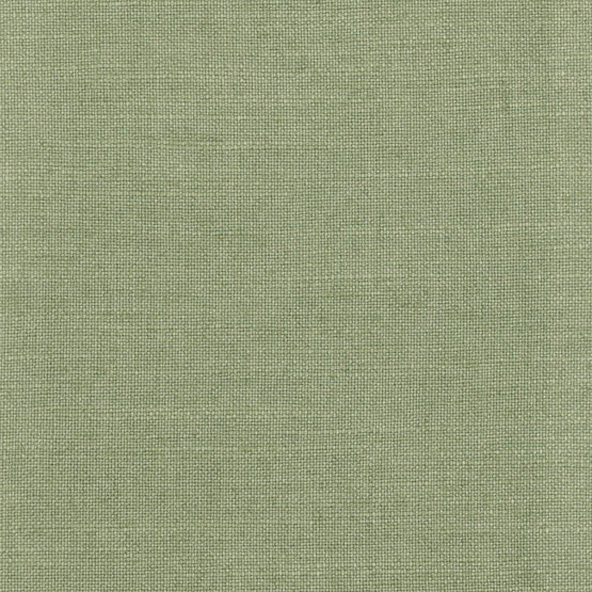 Juno Oregano | Parker & George